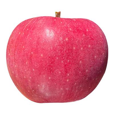 瑞阳陕西白水脆甜皮薄孕妇水果