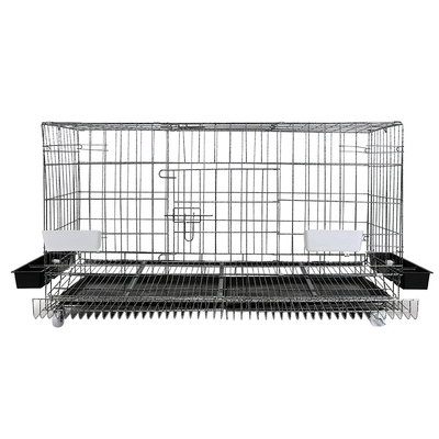 鸡笼子家用养殖鸡笼！推荐买它！