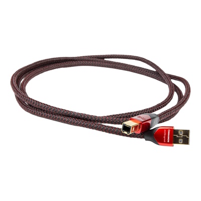 美国audioquest 线圣 Cinnamon肉桂USB线数码线解码数播DAC