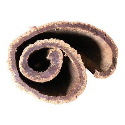 正宗越南清化紫油桂高山安南桂中药材肉桂芯250克含油率50%以上