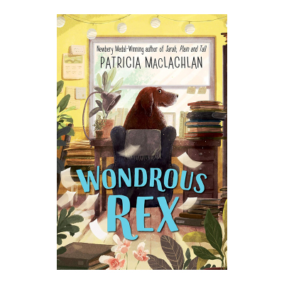 奇妙的雷克斯WondrousRex英文