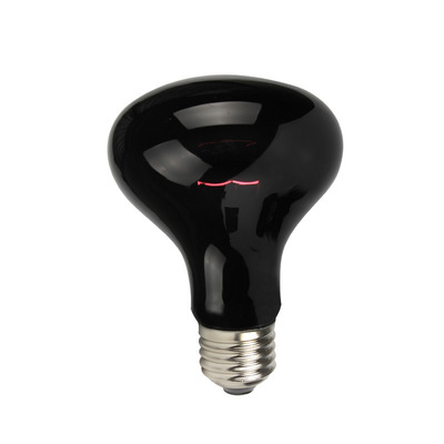 中晶爬宠日夜加热保温灯