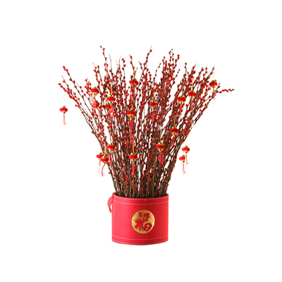 银柳真花室内雪柳水培植物盆栽