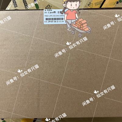 询价-2907161 TRIO-UPS-2G/1AC/24DC/1