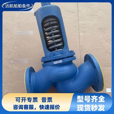 LESER莱斯 安全阀 DN150 船用阀门 管路保护 造船备件