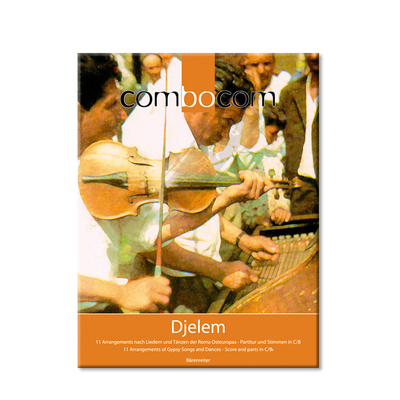 11首歌曲与舞曲改编作品