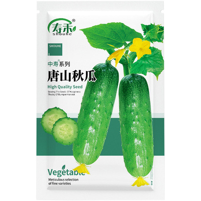 蔬菜唐山秋瓜阳台四季盆栽种子