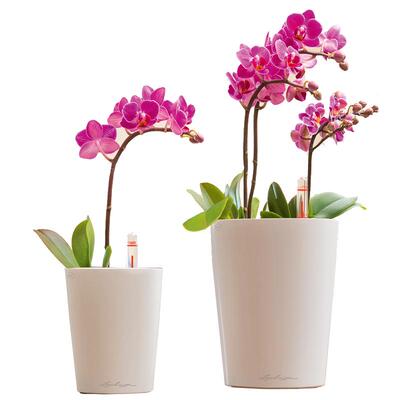 德国原装进口自动上水桌面花盆