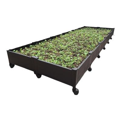 大田种菜箱全新料生产