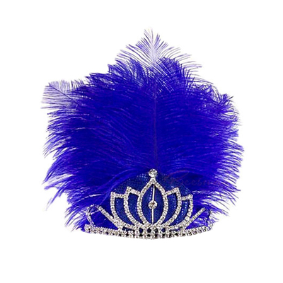 blue bird芭蕾发顶蓝鸟羽毛头饰成人演出舞蹈皇冠儿童表演插梳