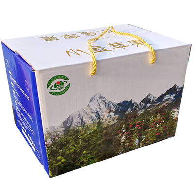 四川小金四姑粮山糖心苹果脆甜香