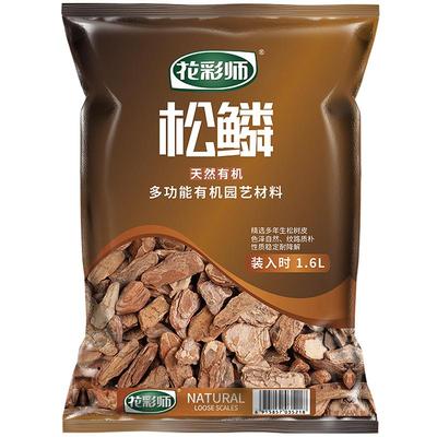 虹越花彩松鳞核鳞树皮隔热保湿