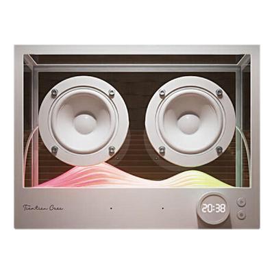 小度添添Tiantian Casa ARIA咏叹调透明琉璃智能音箱HiFi蓝牙音响