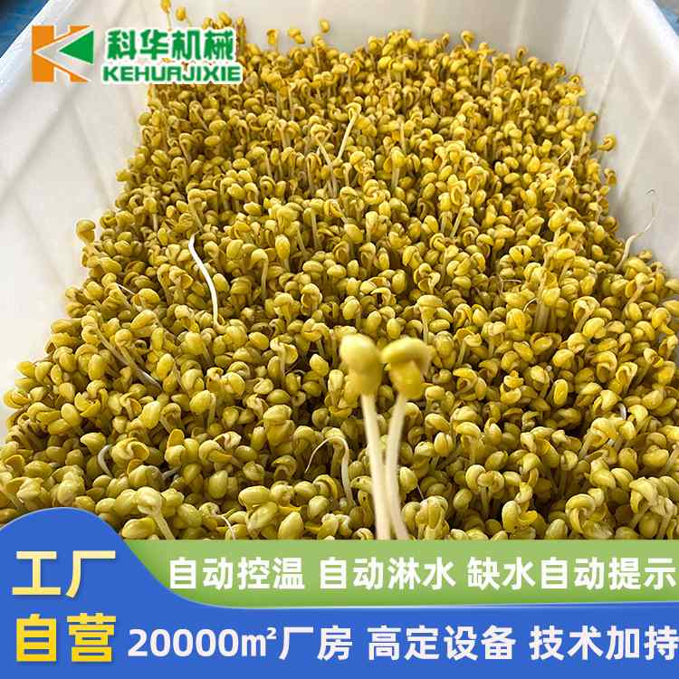 厂家热销科华100斤商用豆芽机 小型全自动生豆芽机 教技术