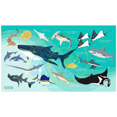 Oceanarium速干毛巾纤维沙滩巾