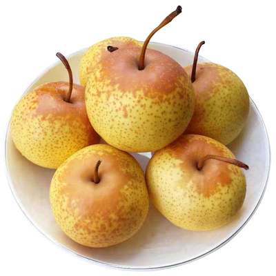 新鲜水果东北特产花盖梨冻梨软梨