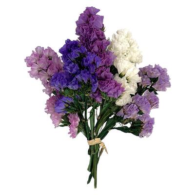 保鲜花民宿拍照道具勿忘我摆件