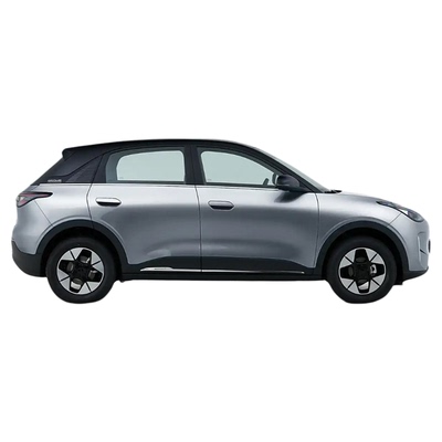 秒杀价寄言吉利星愿专车悬浮车顶