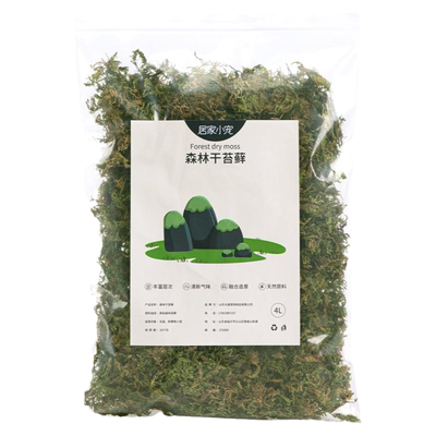 居家小宠森林苔藓仓鼠金丝熊