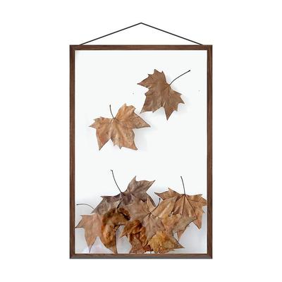 秋天主题植物标本挂画北欧树叶