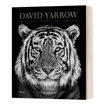 大卫亚罗作品集动物摄影精装