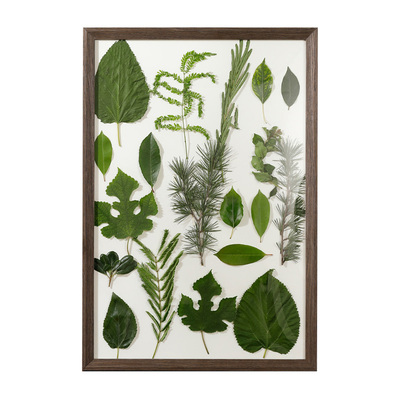 落叶相框手工diy植物标本树叶枝捡秋天画框装裱定制收纳展示挂墙