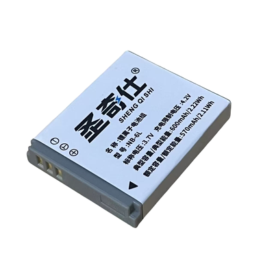 圣奇仕6L适用佳能相机电池充电器