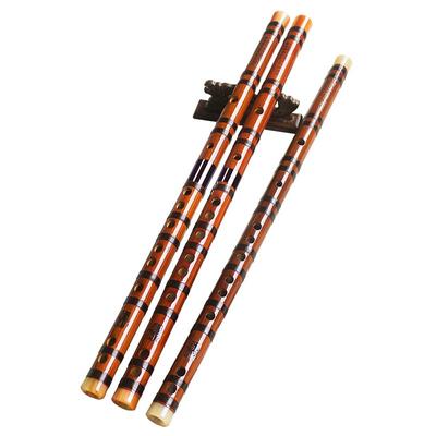 竹笛初学考级乐器横笛初学笛子