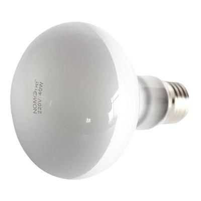 爬虫宠物加热灯龟箱蜥蜴