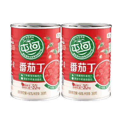 屯河番茄酱番茄丁410gX2罐