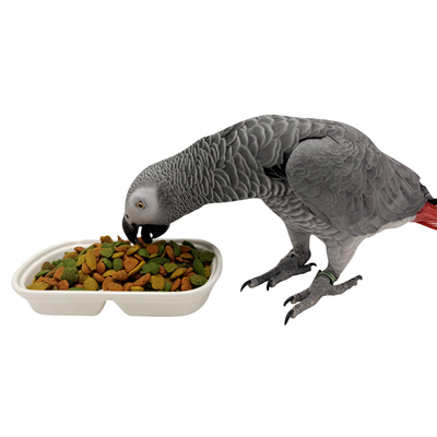 中大型鹦鹉饲料营养增肥鸟滋养丸