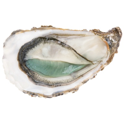 法国空运原装进口绿翡翠生蚝12只