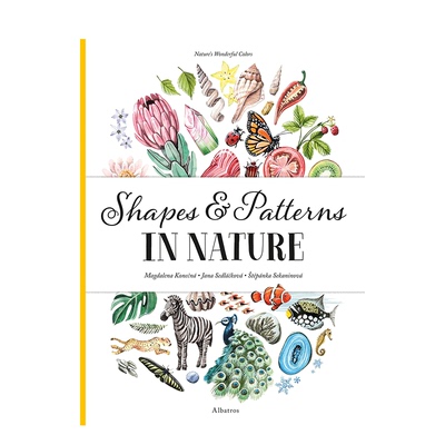 【现货】英文原版 自然界中的形状和图案Shapes and Patterns in Nature 儿童英语艺术插画绘本精装 6岁+进口图书 善优童书