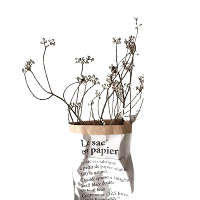 天然真花干花树枝客厅桌面餐厅