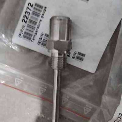 议价PT100热电偶22372温度测头 看着像全新的 未使用 螺