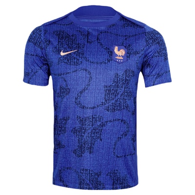 耐克2025法国赛前训练服