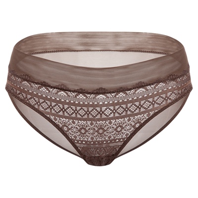 咖色御姐风性感网纱内裤女