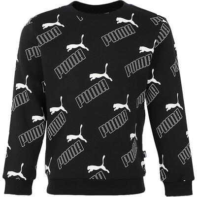 PUMA/彪马正品当季新款 女子春秋休闲连帽卫衣Amplified 581059