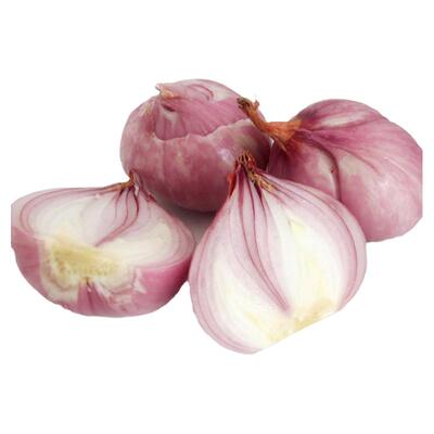 东北毛葱黑龙江当季蔬菜鬼子葱