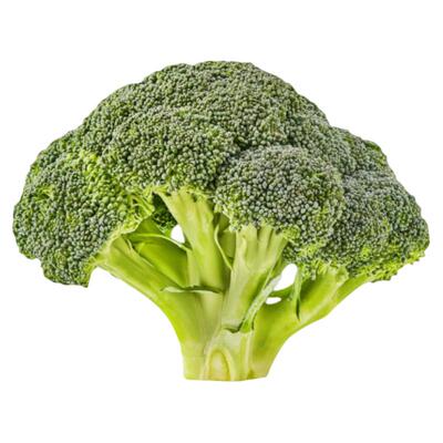 沃尔瑟姆29西兰花种子浓郁紧凑