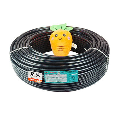 tkc铁壳虫尼龙管货车高压软管