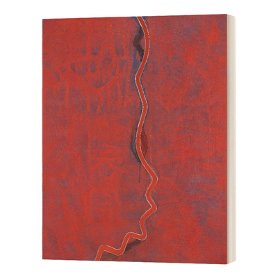 英文原版 Donald Judd Paintings 1959-61 唐纳德 贾德 绘画1959-61 精装 英文版 进口英语原版书籍