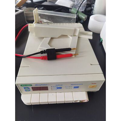 伯乐BIO-RAD MicroPulser电穿孔仪，实验室淘议价