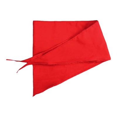 红领巾小学生棉质柔软高质量