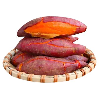 西口蜜西瓜红蜜薯安徽现挖番薯