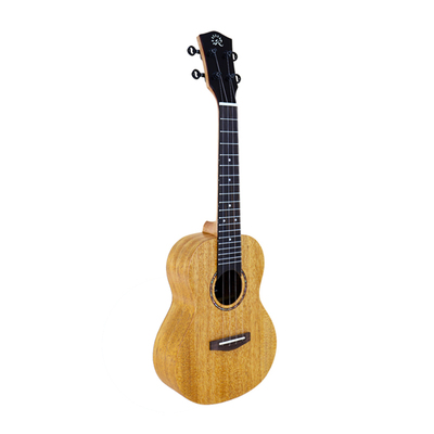 初学入门桃子鱼仔瑞声SC110