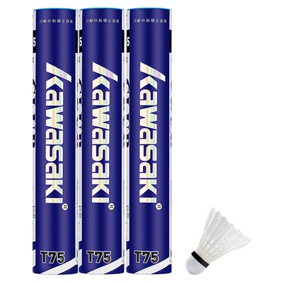 川崎P65羽毛球俱乐部T75