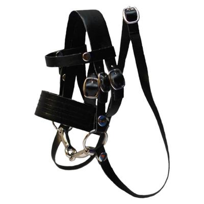 英国CP马术玩偶模型皮革玩具教材