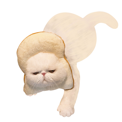 猫咪萌宠原创装萌狗狗