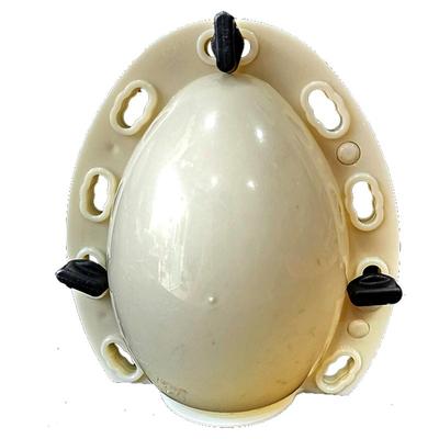 鸵鸟恐龙蛋夜明珠椭圆球奇趣模具